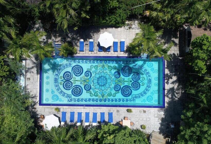 Hôtel Graycliff - Nassau