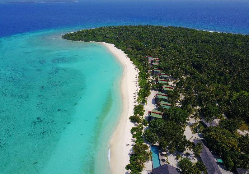 Hôtel The Barefoot Eco - Maldives